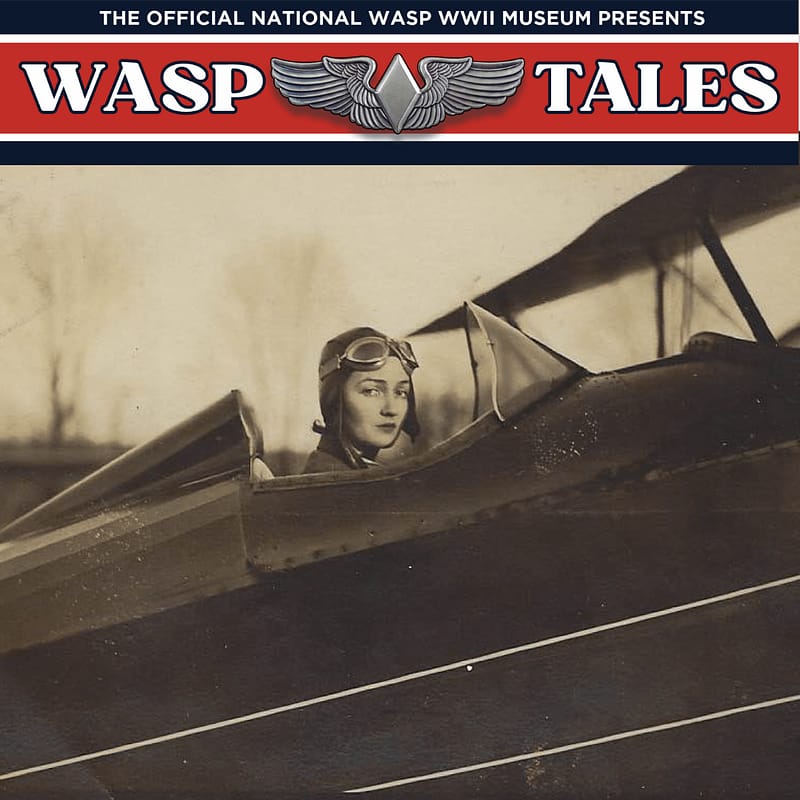 Nancy Harkness Love: Fighting for Equality in the Skies by Heather B ...