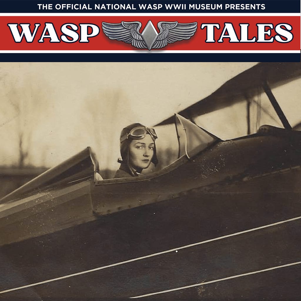 Nancy Harkness Love: Fighting for Equality in the Skies by Heather B ...